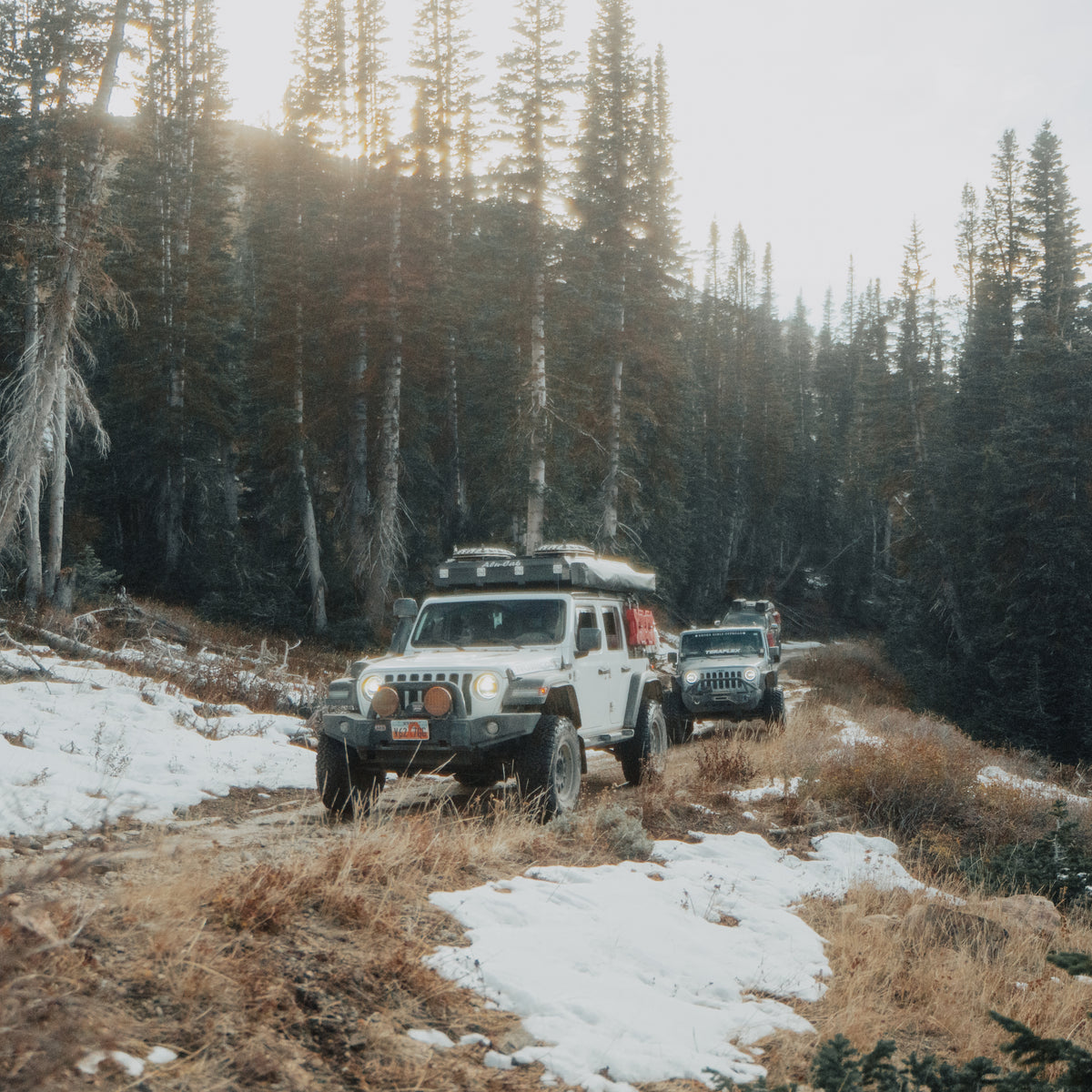 Trailrax – TrailRax